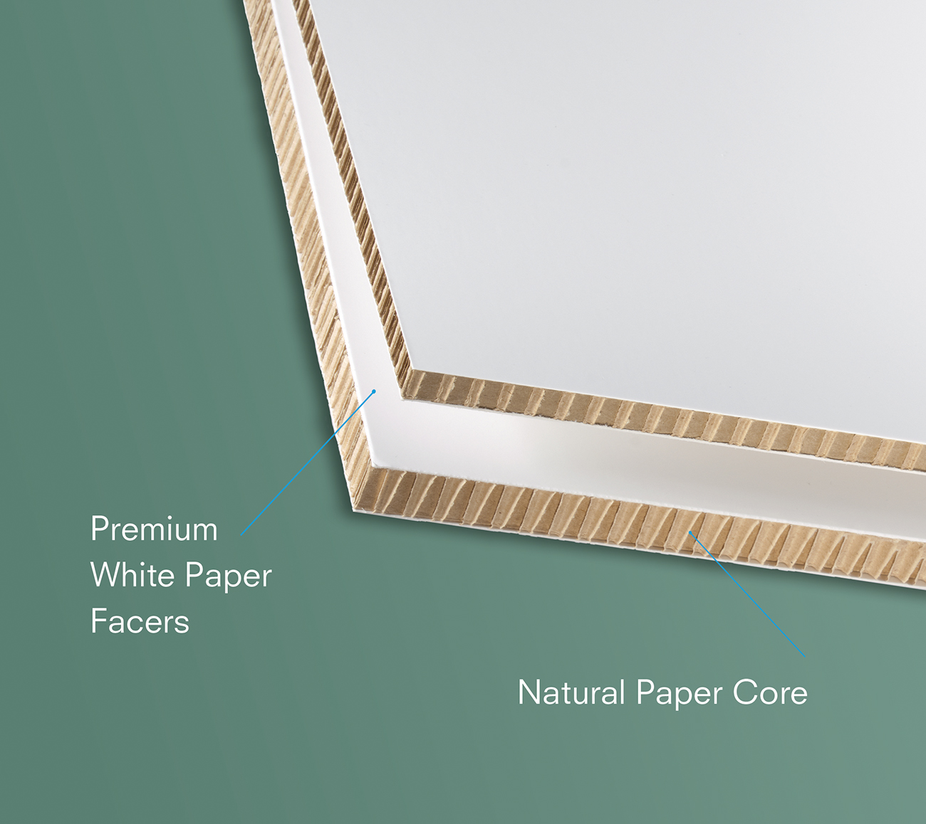 Graphic Display Products